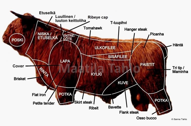 Ruhon osien selitykset - Ylöjärvi, Mutala